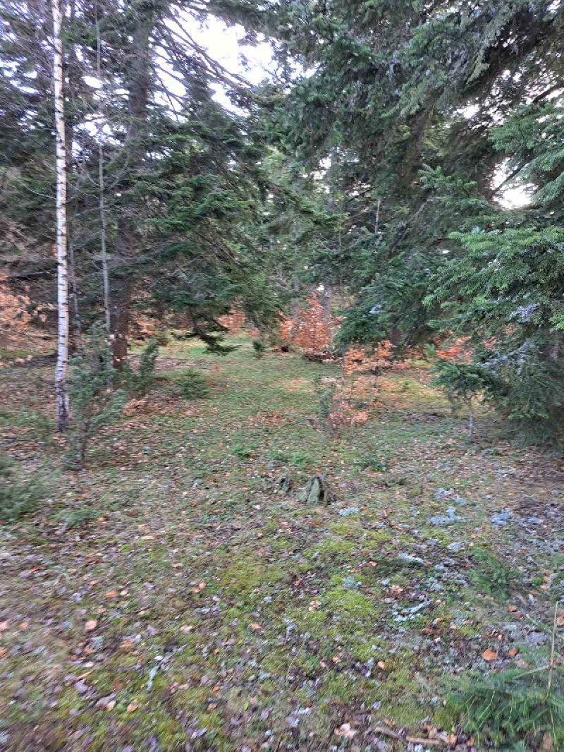 Plac Zlatibor selo Stublo | Cajetina